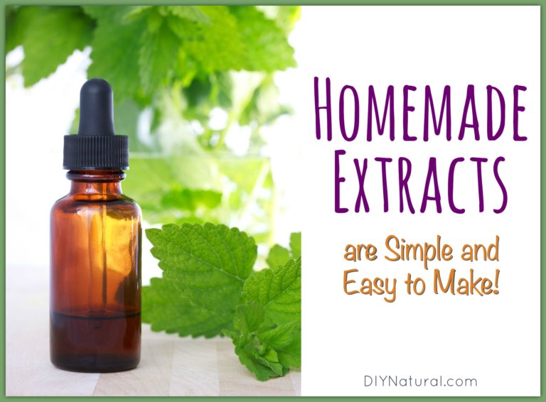 Homemade Extracts and All Extract Flavors are Simple!