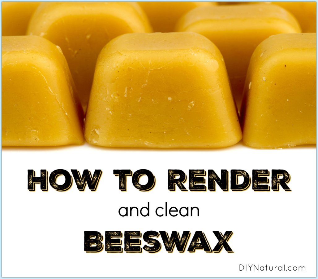 How to Render Beeswax: Learn to Clean and Render It Yourself