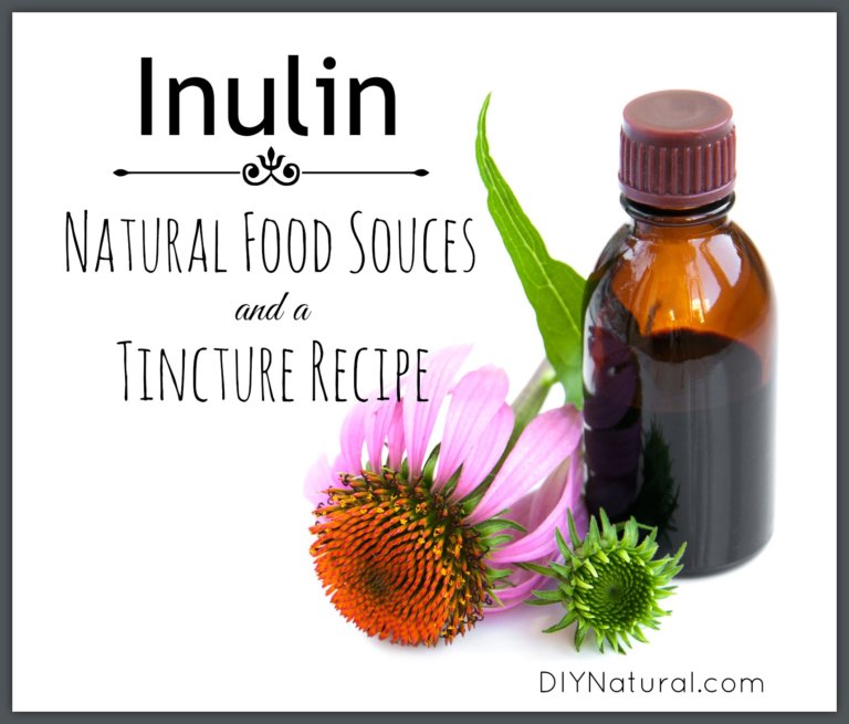 Inulin - Natural Food Sources and a Tincture Recipe