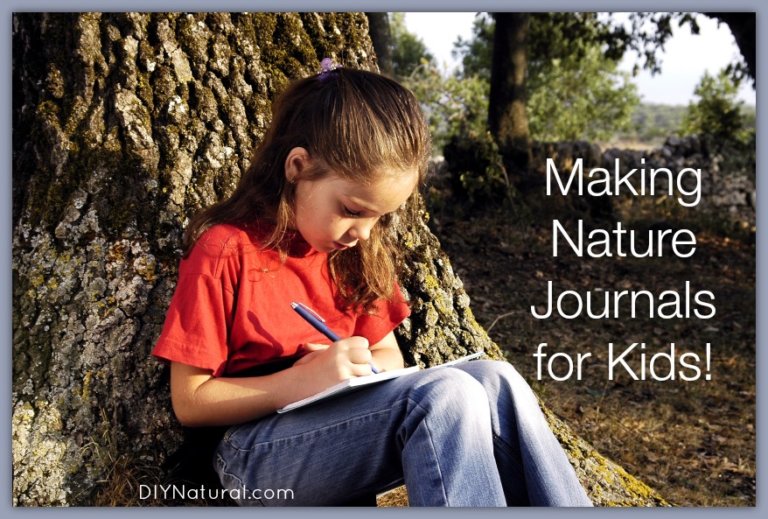 How to Make A Child's Nature Journal - DIY Natural