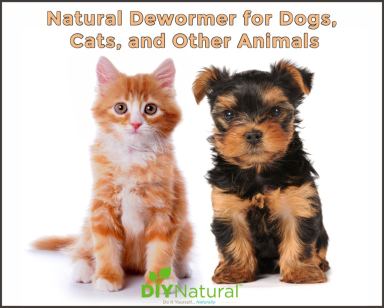 Natural Dewormer for Dogs and Cats: It Also Works for Livestock Animals