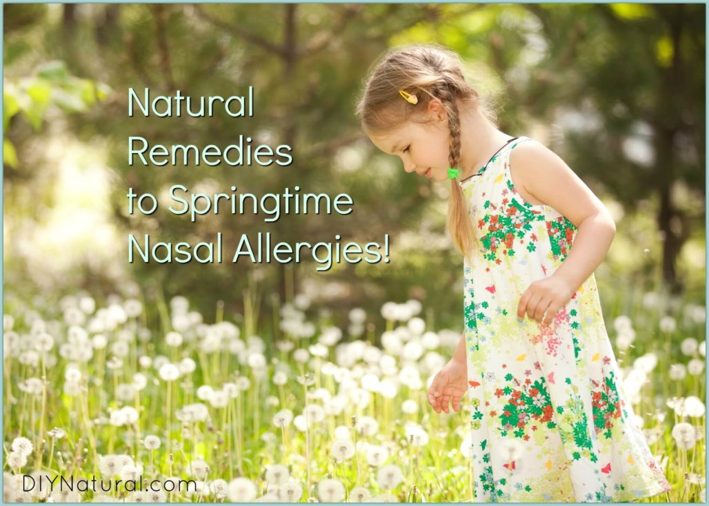Spring Allergies: Learn How to Treat Springtime Allergies Naturally!