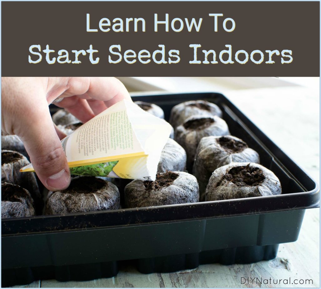 How To Start Seeds Indoors: And Tips for Starting Your Garden Inside